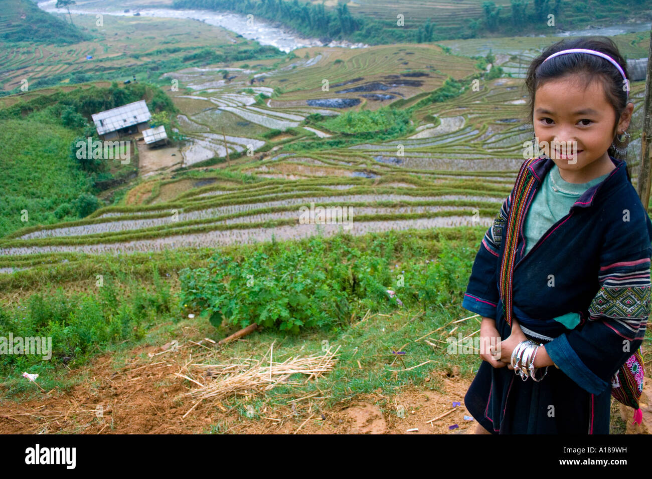 Beautiful Young Hmong Girl in Traditional Clothing in front of Rice ...