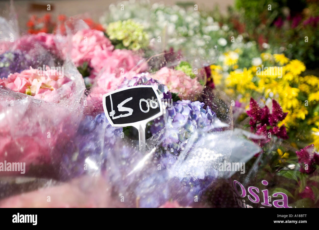 bunches of flowers with a price tag Stock Photo - Alamy