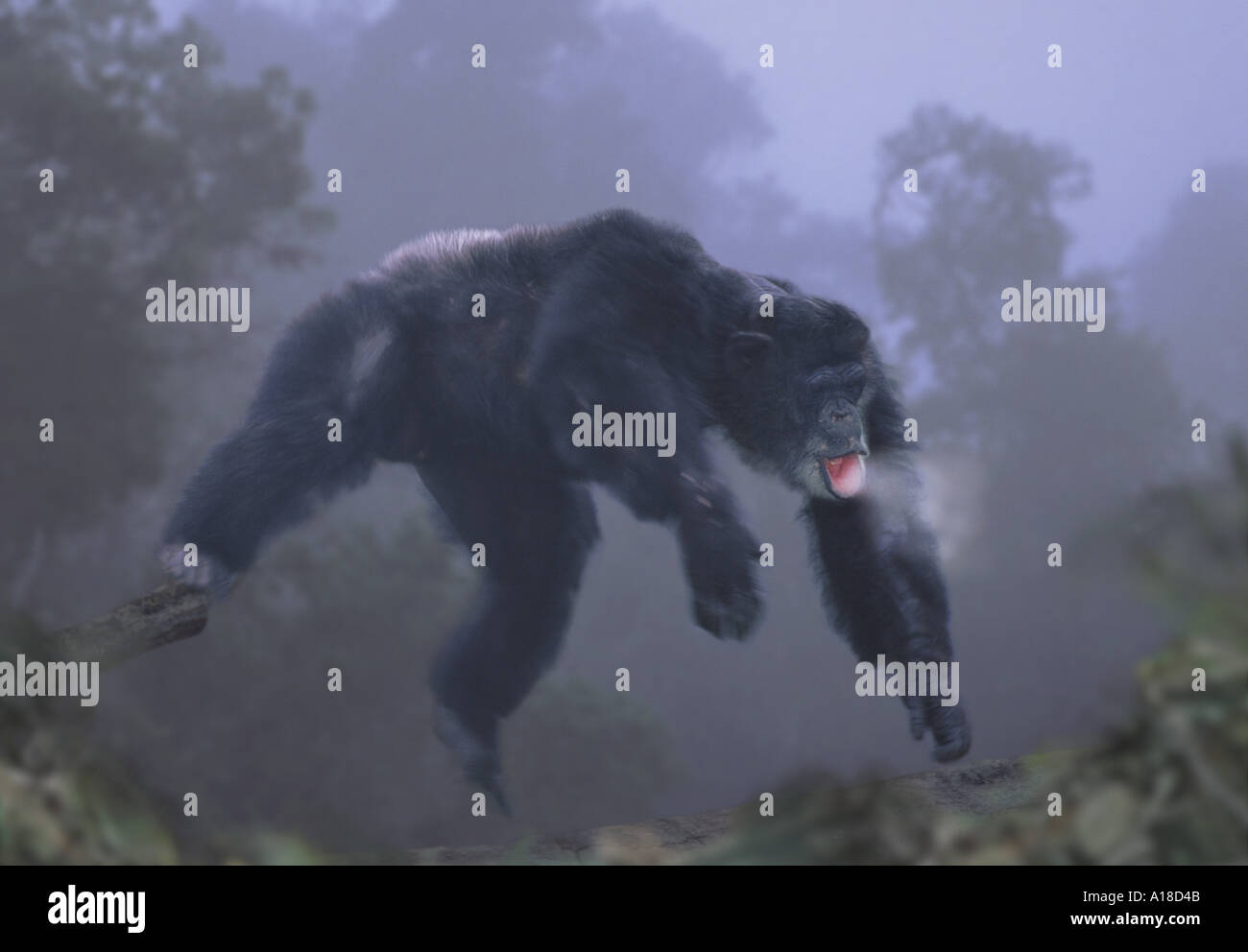 Early communications hi-res stock photography and images - Alamy