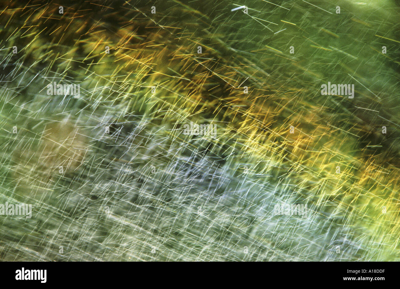 Rain drops and rainbows hi-res stock photography and images - Alamy