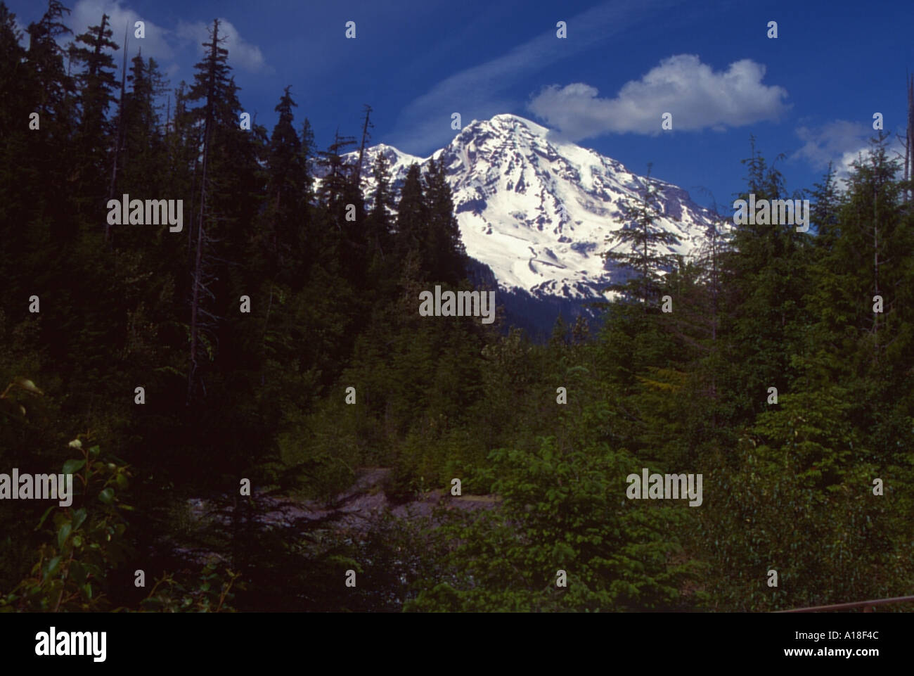 Stevens canyon mount rainier hi-res stock photography and images - Alamy