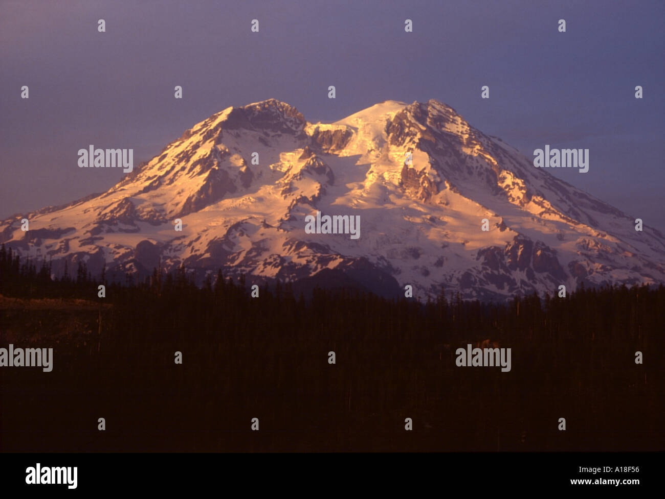 Mount Rainier at sunset Stock Photo - Alamy
