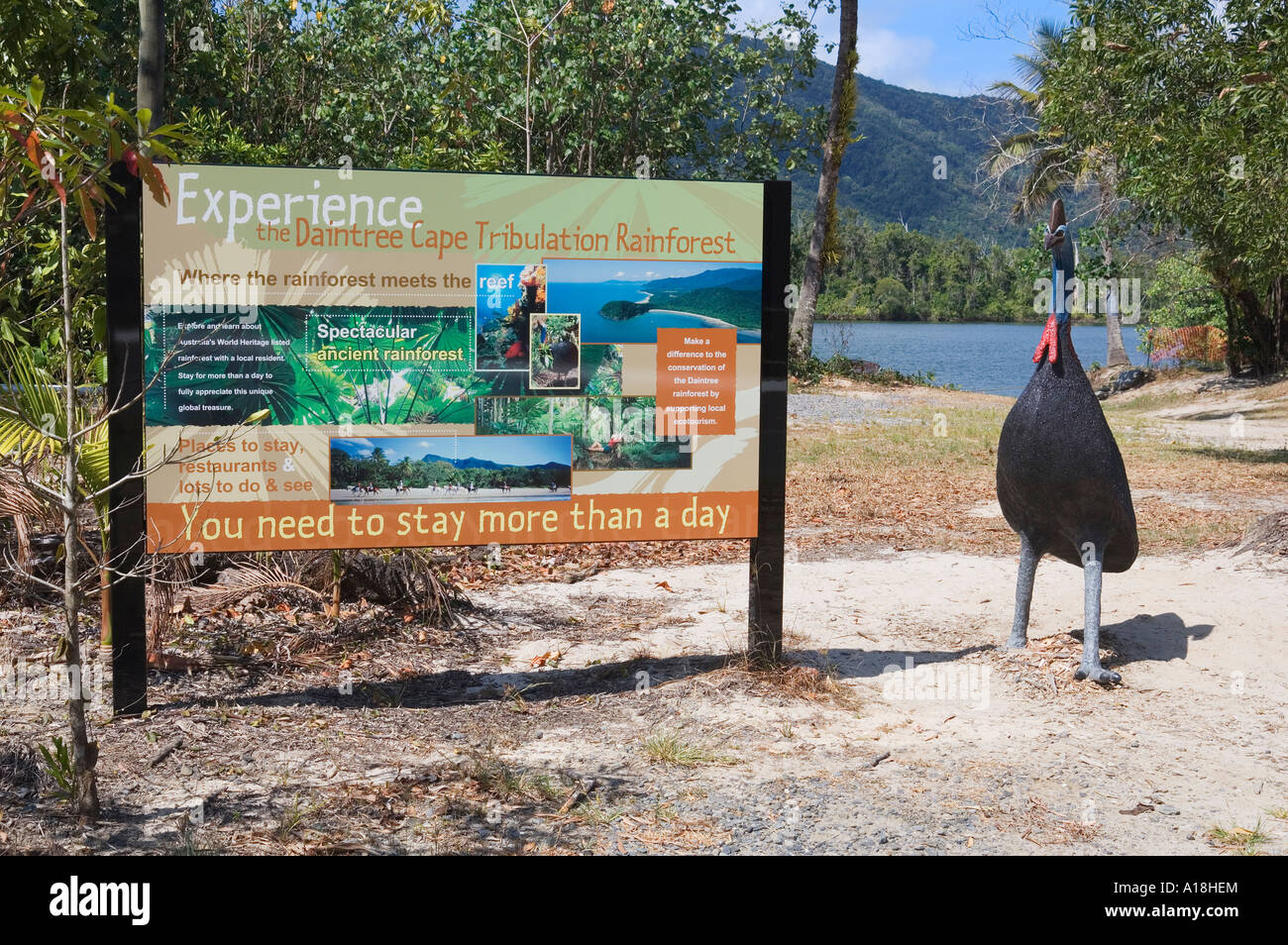 Tourist sign and model Cassowary Daintree National Park Stock Photo - Alamy