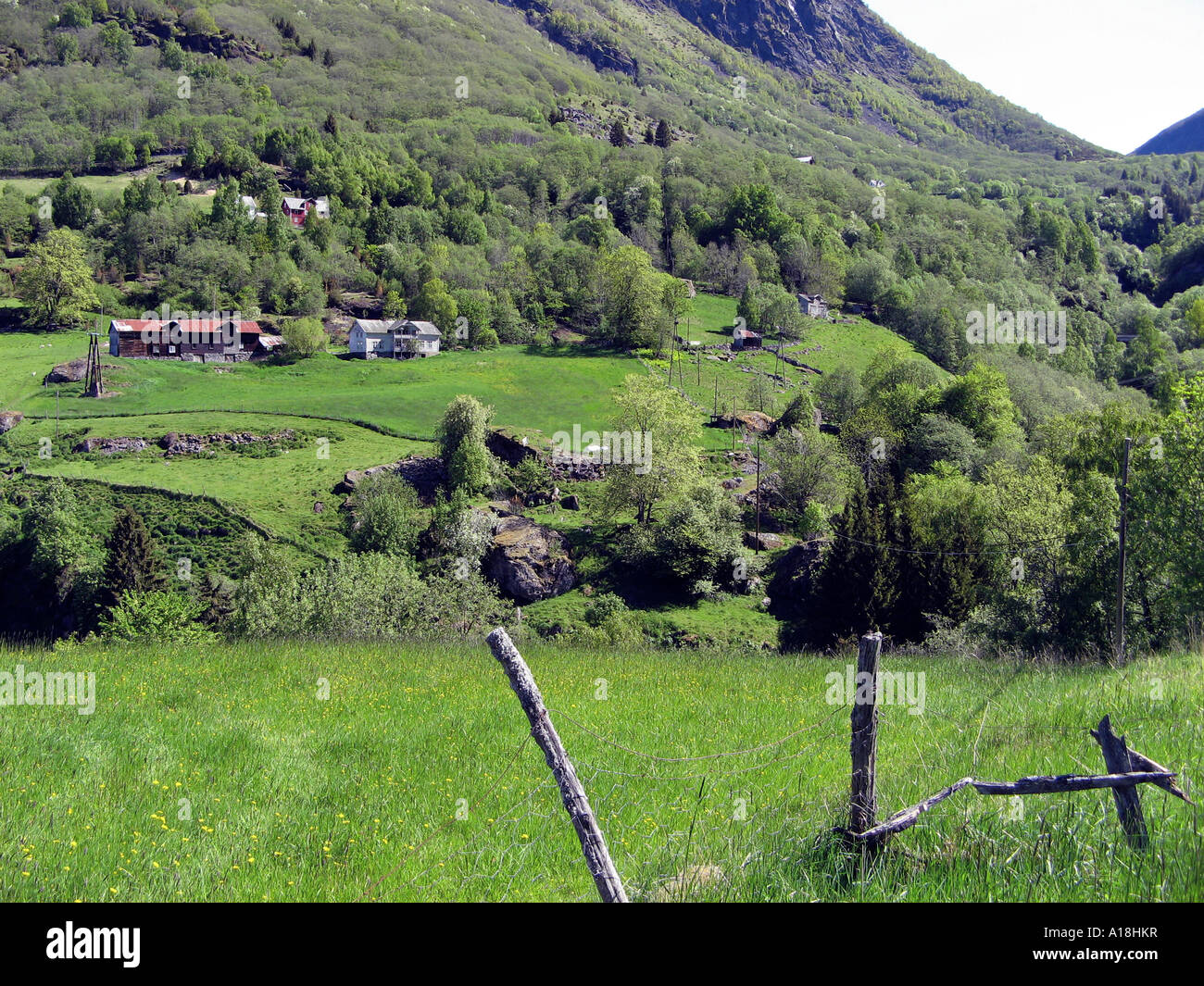 Fortun hi-res stock photography and images - Alamy