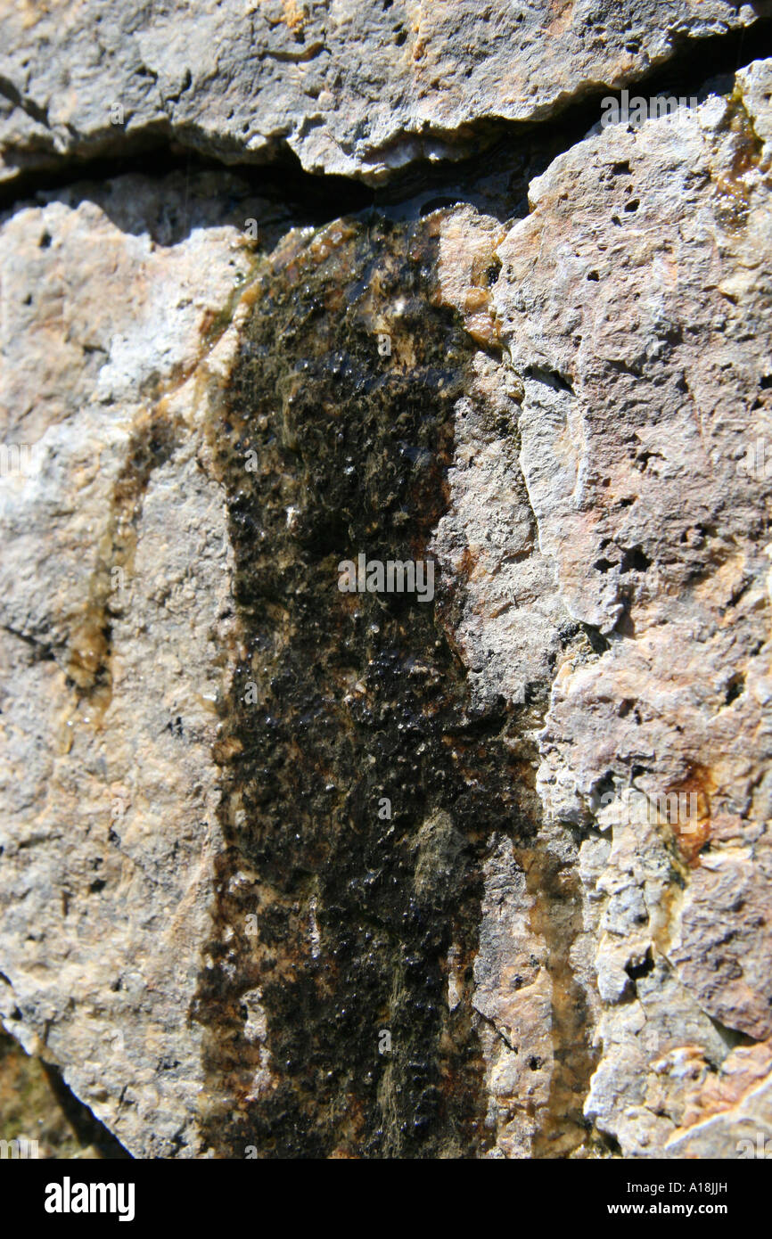 Trickle of water running through crack in rock Stock Photo - Alamy
