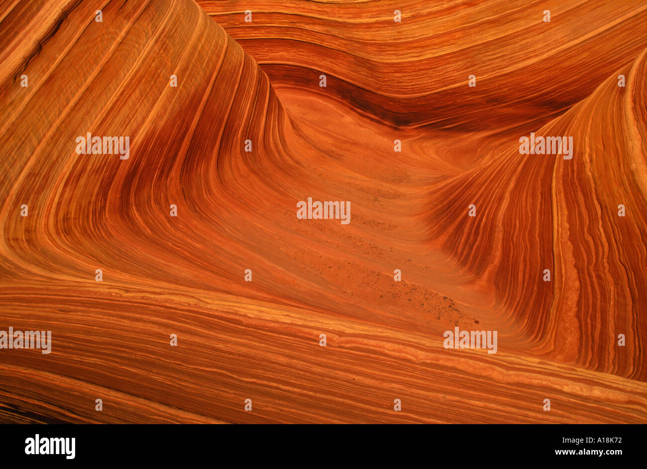 The Wave, water sculpted walls, USA, Arizona, Paria Canyon Vermillion ...