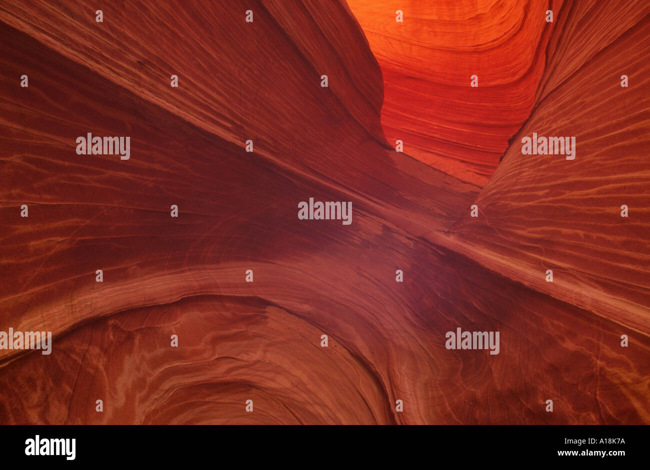 The Wave, water sculpted walls, USA, Arizona, Paria Canyon Vermillion ...