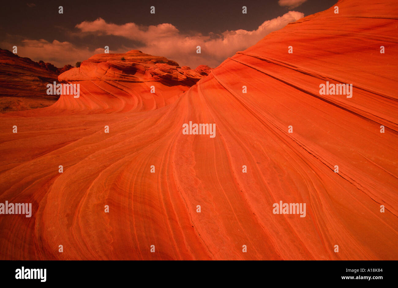 Second Wave, water sculpted walls, USA, Arizona, Paria Canyon ...