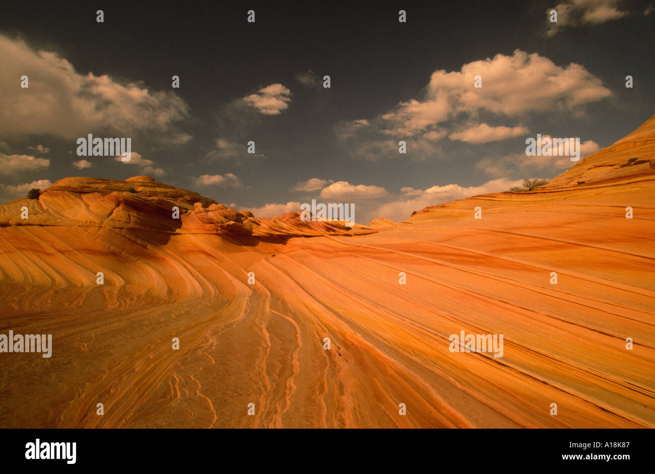 Second Wave, water sculpted walls, USA, Arizona, Paria Canyon ...