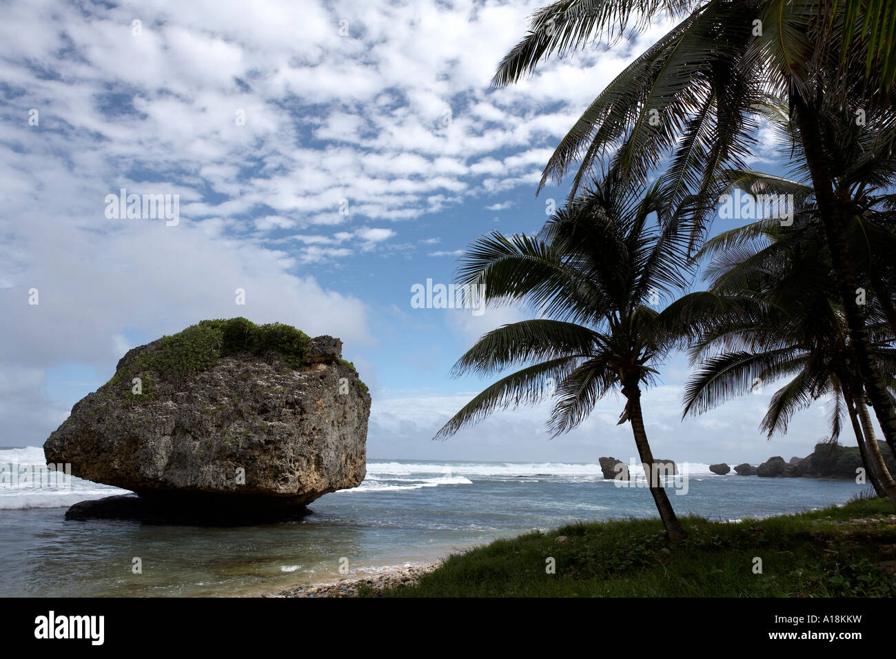 rock formation bathsheba cattlewash beach barbados caribbean west ...