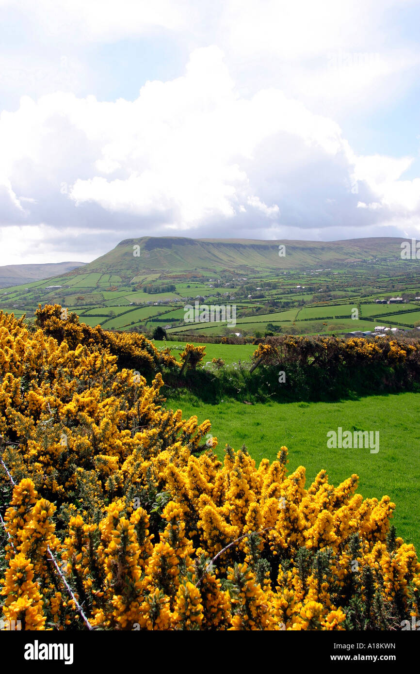 Northern Ireland County Antrim Glendun Trostan and Glanaan Stock Photo ...