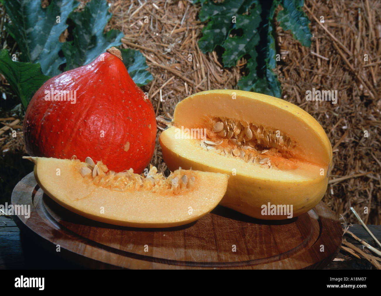 gourd (Cucurbita spec.), mature fruits, sliced Stock Photo - Alamy
