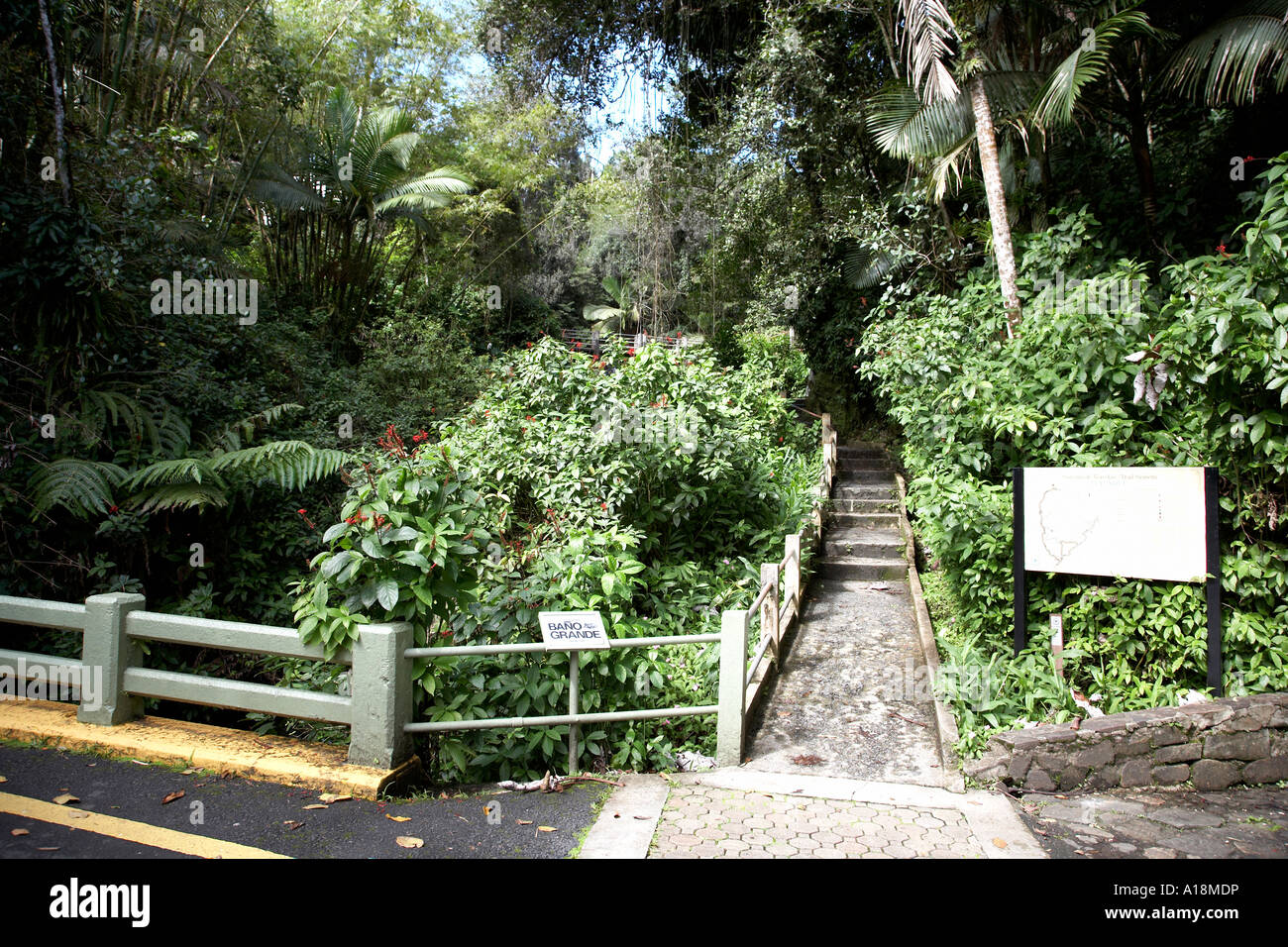 the start of the bano grande El Yunque rain forest Puerto Rico west ...