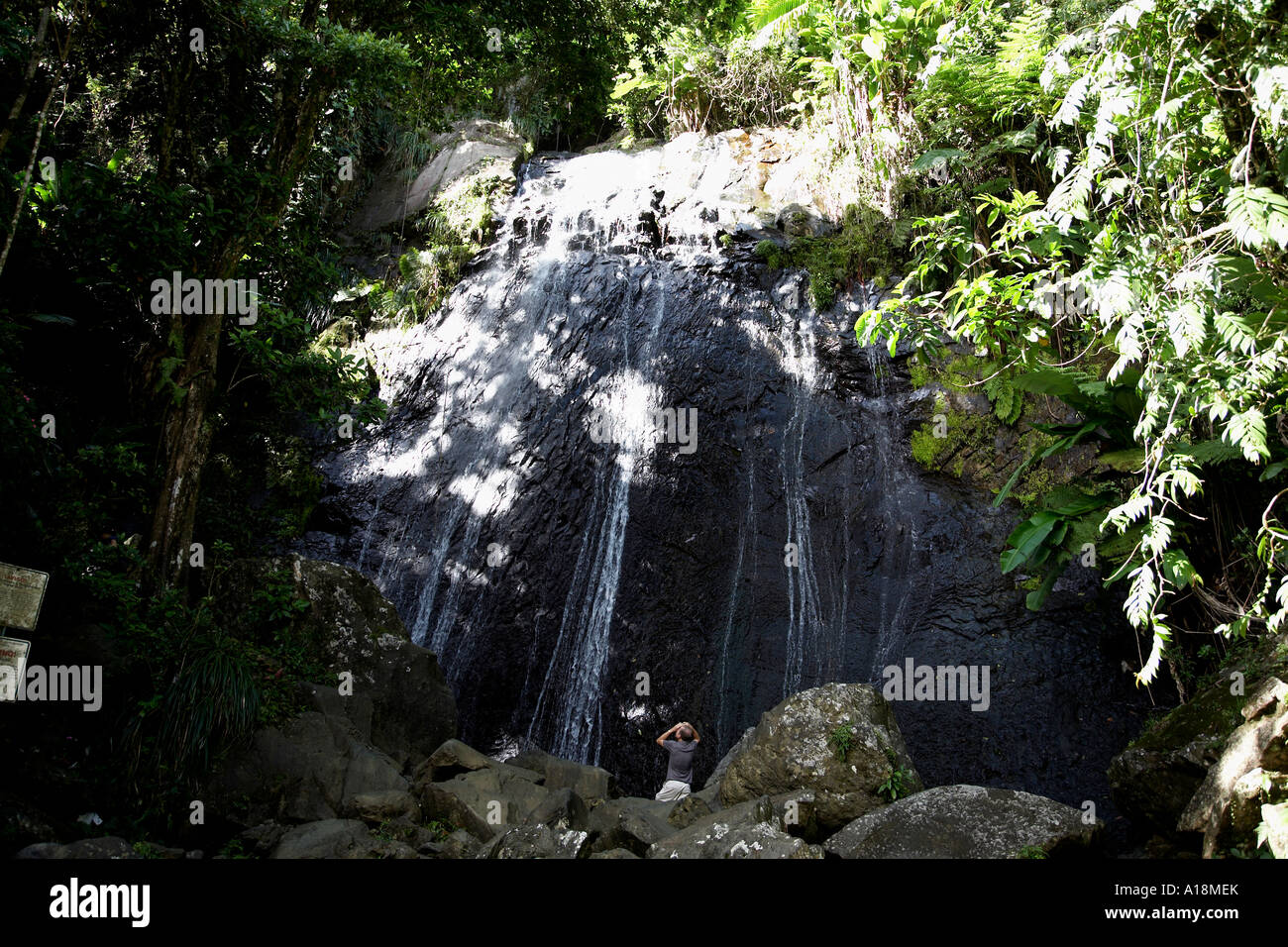 la coca waterfall El Yunque rain forest Puerto Rico west indies Stock ...