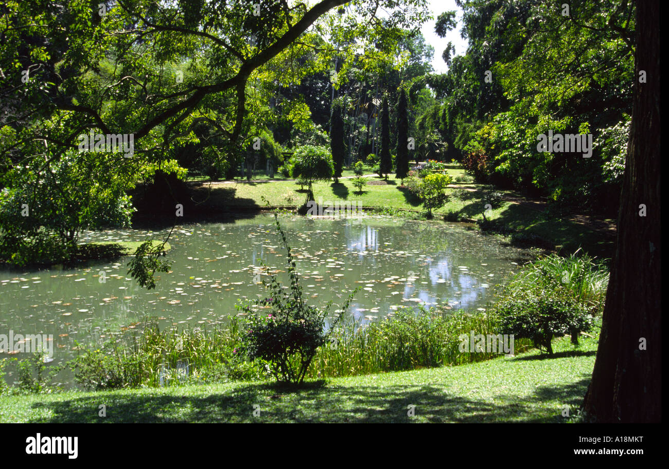 Sri Lanka Kandy Peradeniya Botanical Gardens Lake Stock Photo - Alamy