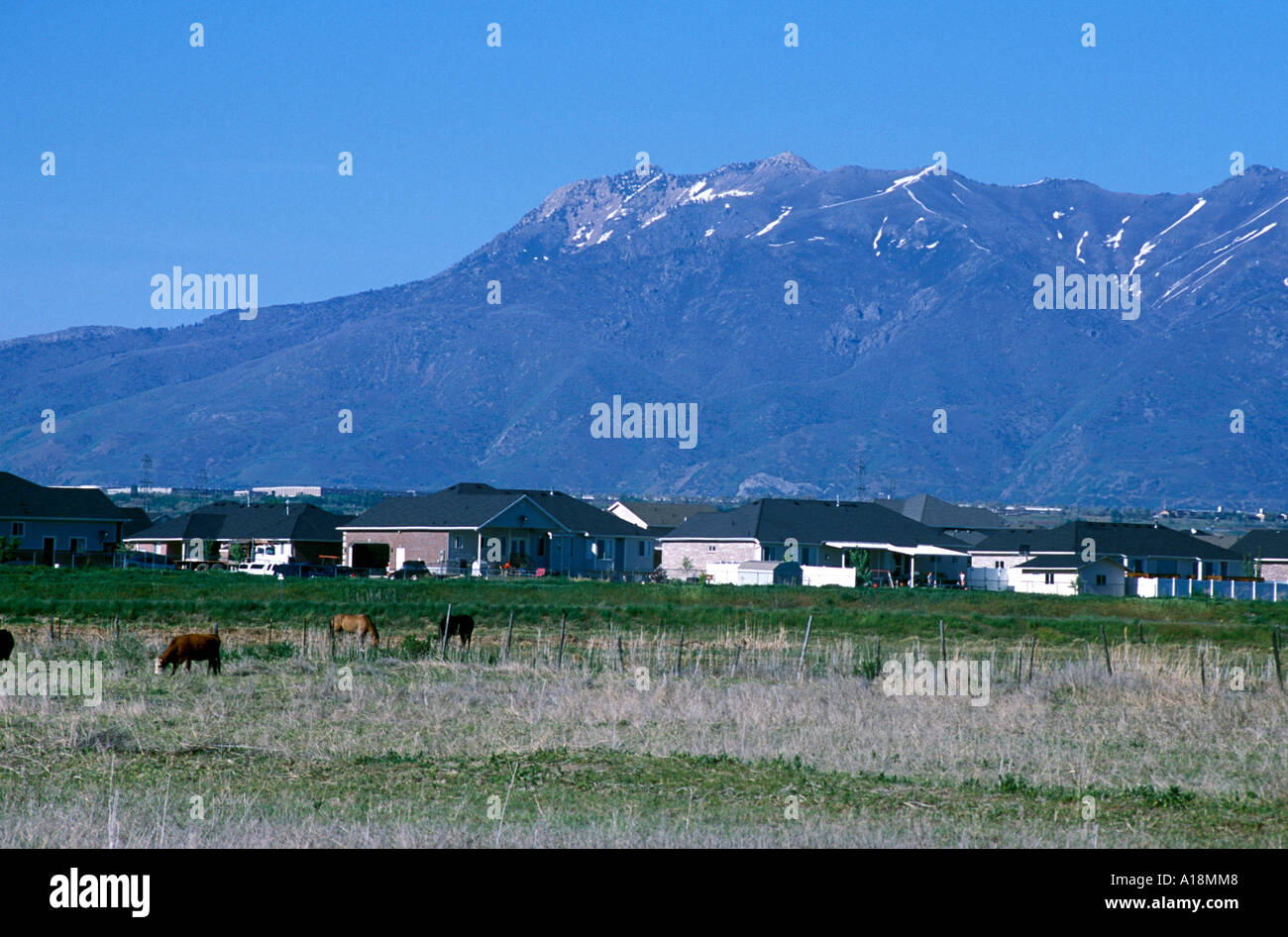 Cattle ranches give way to subdivisions and the Wasatch Range in the ...