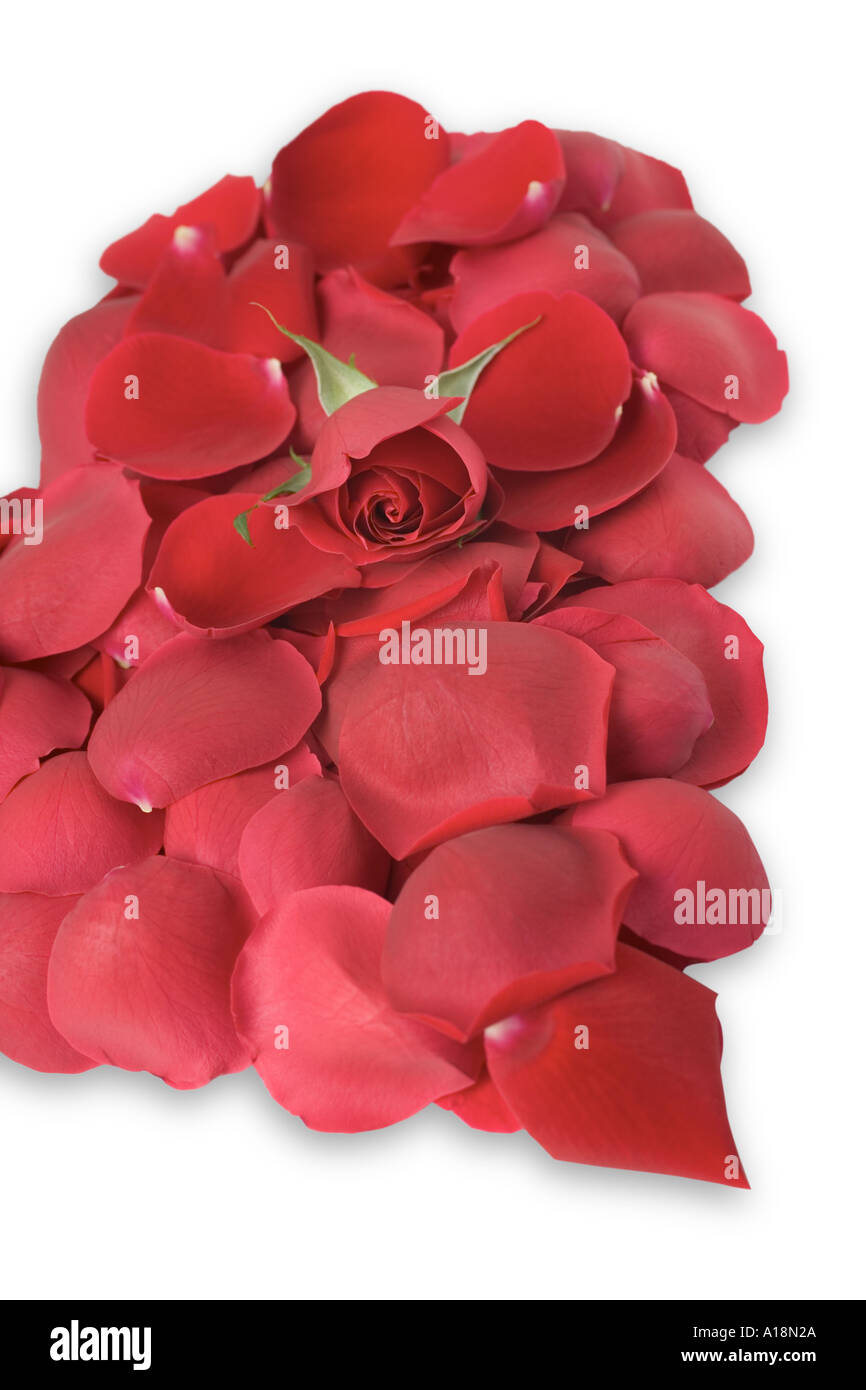 Rose petals heart hi-res stock photography and images - Alamy
