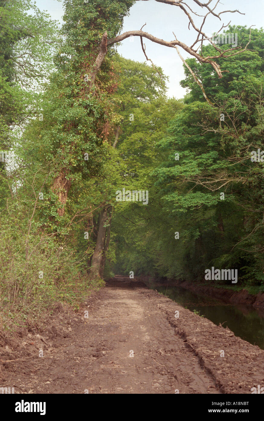 Stackallen hi-res stock photography and images - Alamy