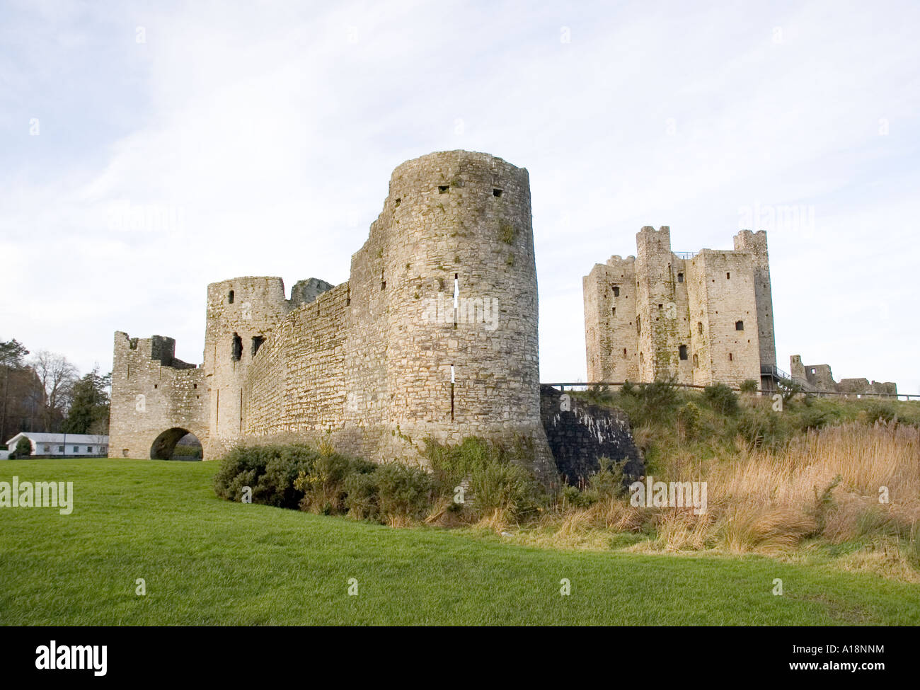 Trim Castle in County Meath Ireland Stock Photo - Alamy