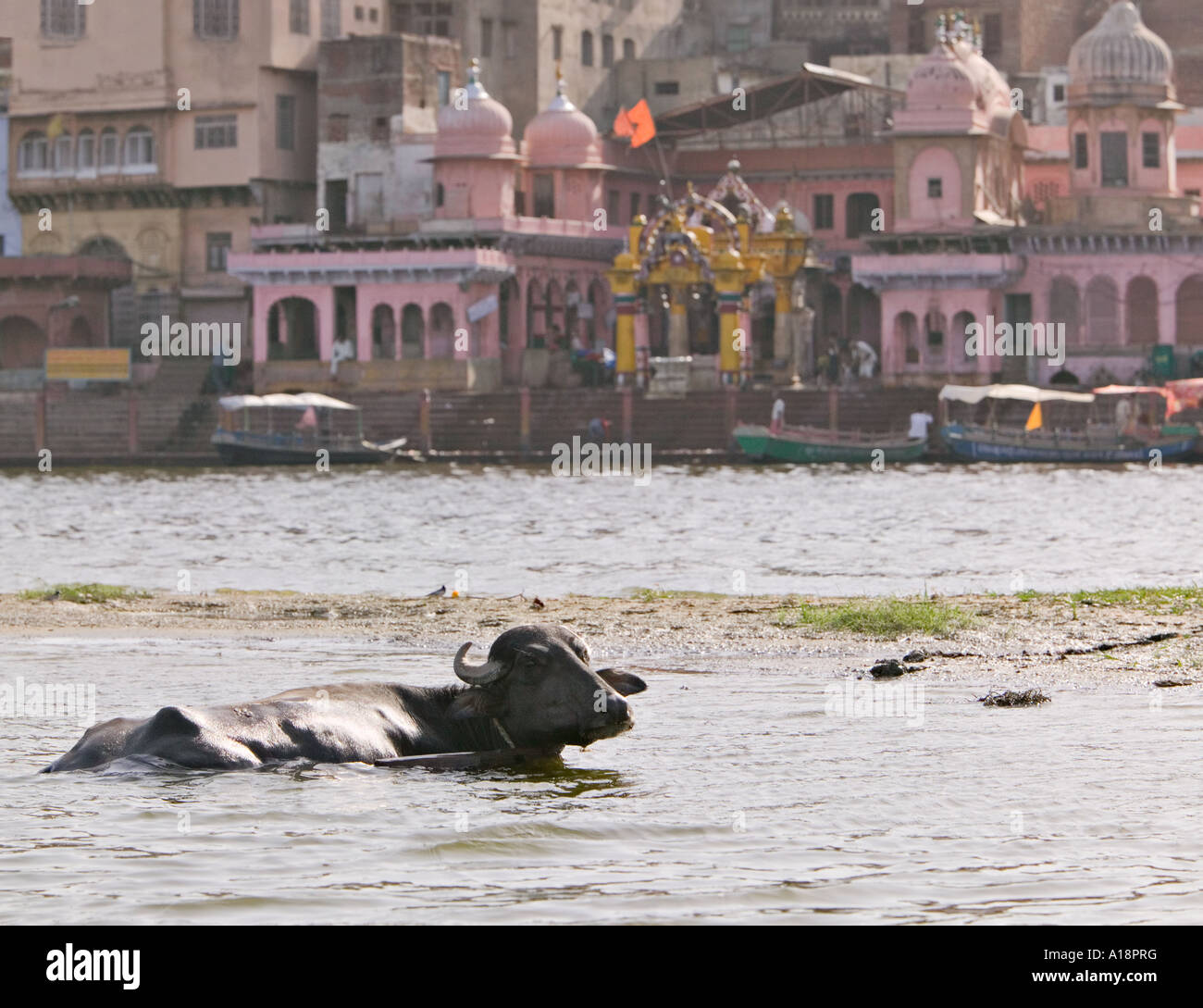 Ghat of mathura hi-res stock photography and images - Alamy