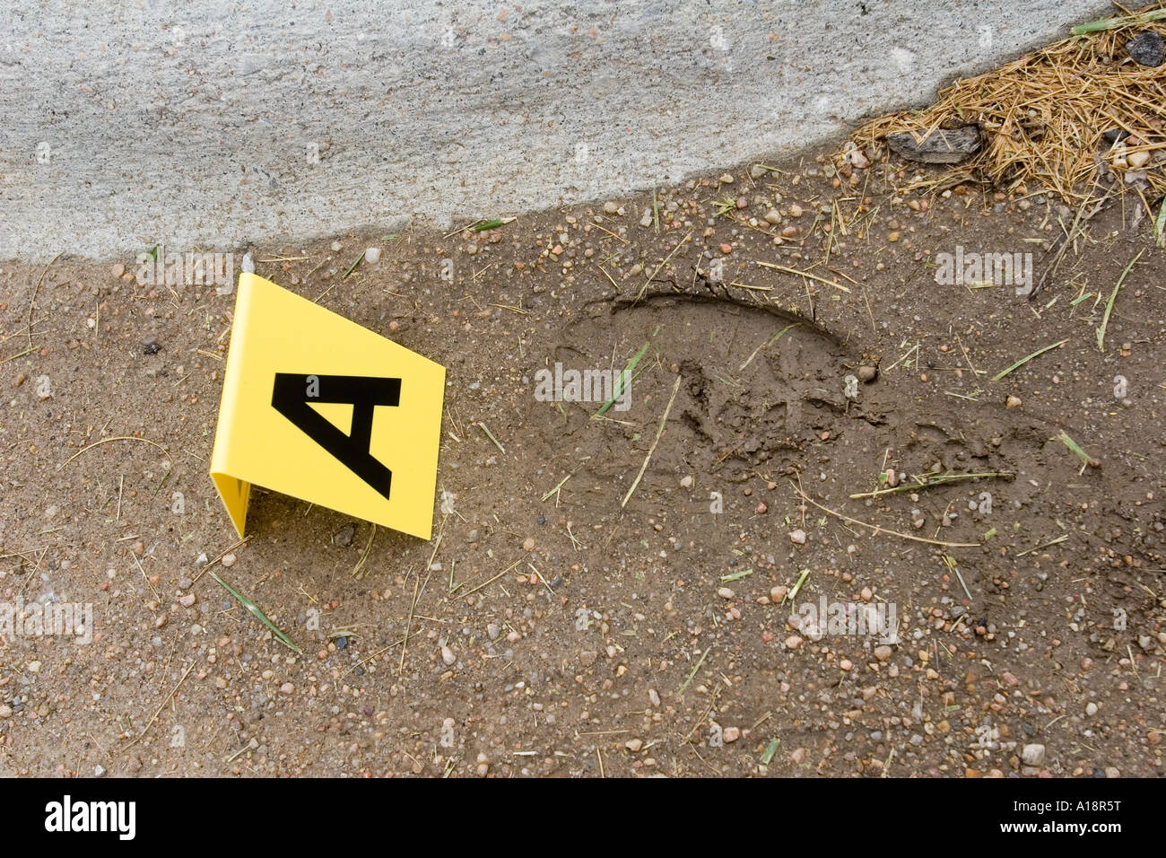 Shoe print at crime scene with forensic marker Stock Photo - Alamy