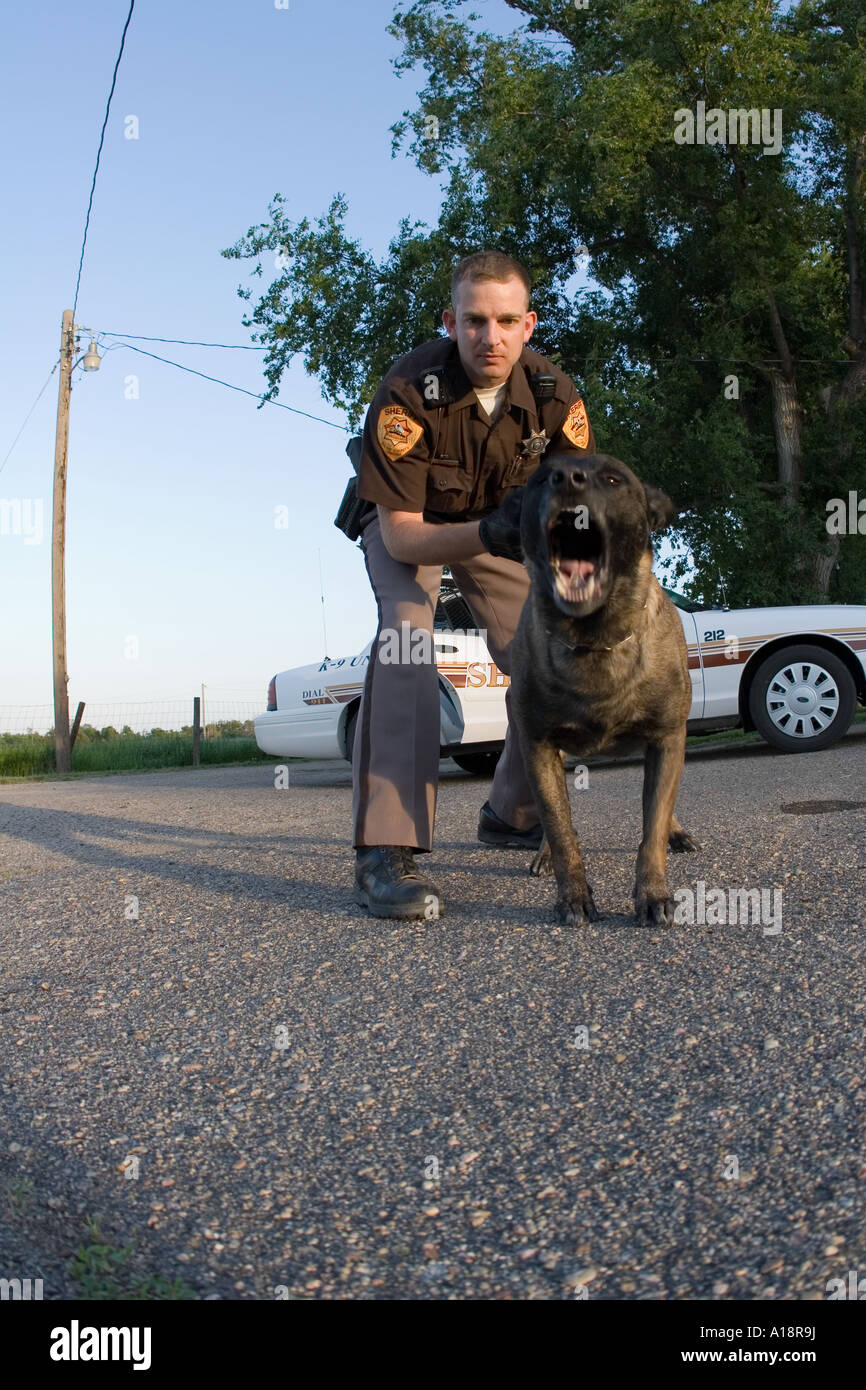 Dog controlling suspect hi-res stock photography and images - Alamy