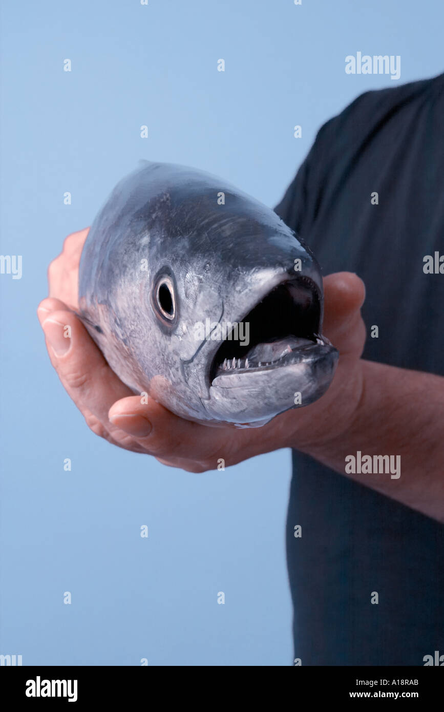 Man Holding a Fish Head Against a Blue Background Stock Photo - Alamy