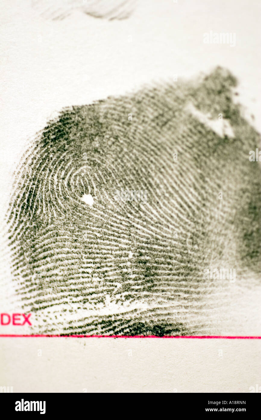 Fingerprint loop pattern hi-res stock photography and images - Alamy