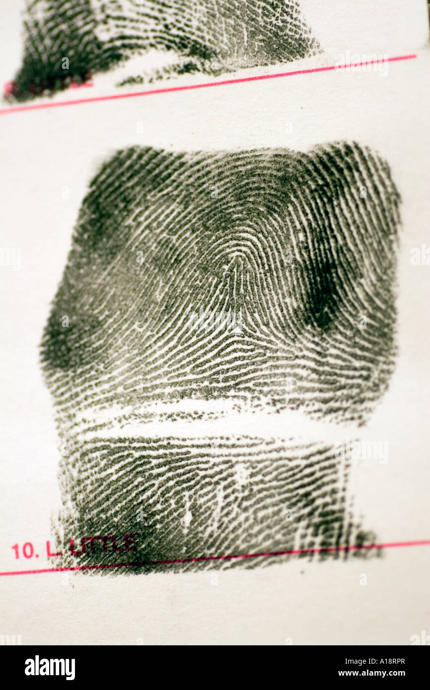 Fingerprint with arch pattern Stock Photo - Alamy