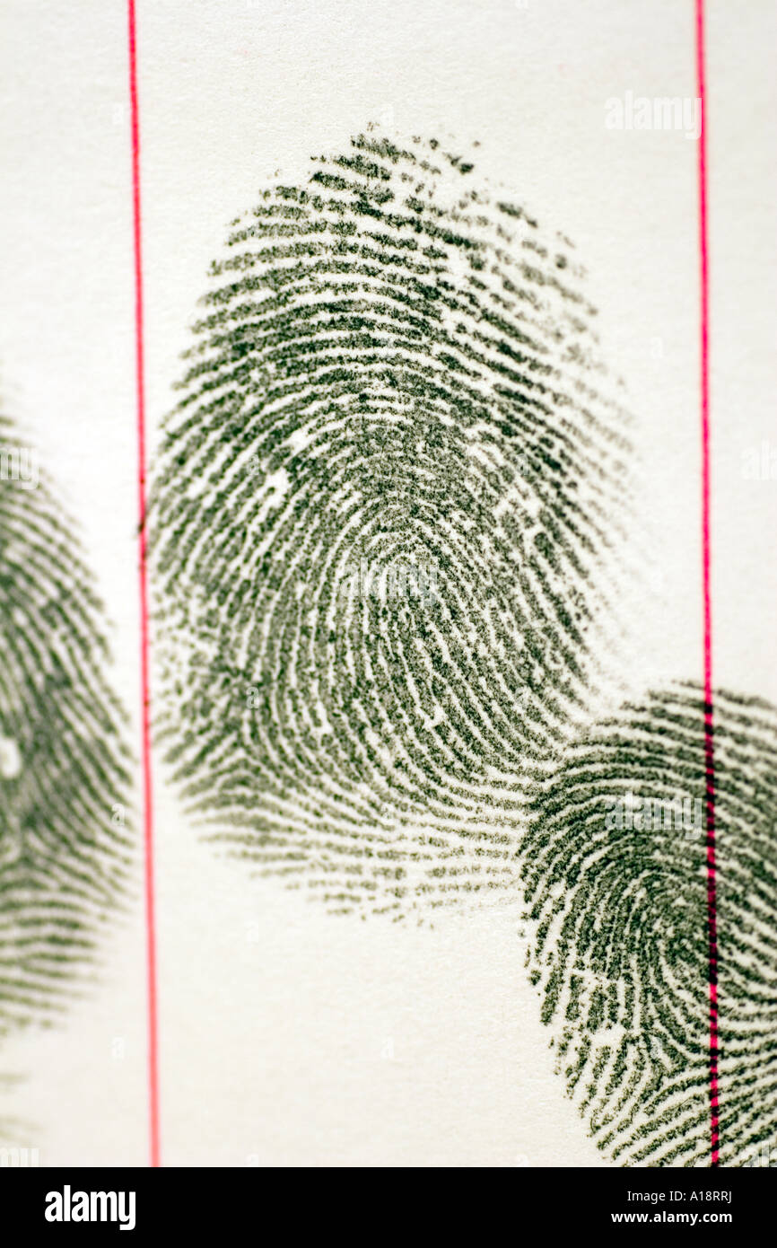 Fingerprint loop pattern hi-res stock photography and images - Alamy