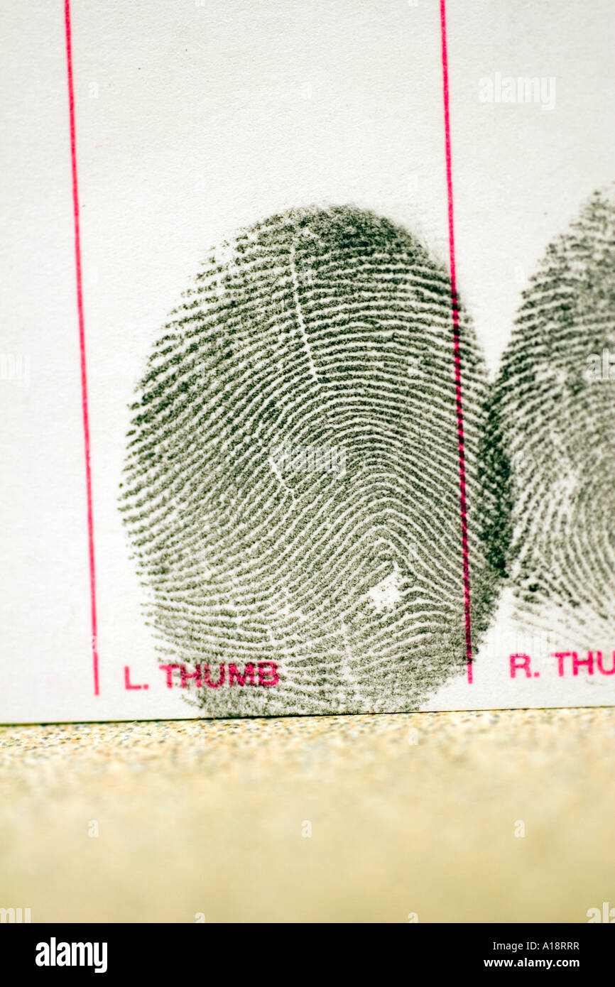 Fingerprint with arch pattern Stock Photo - Alamy