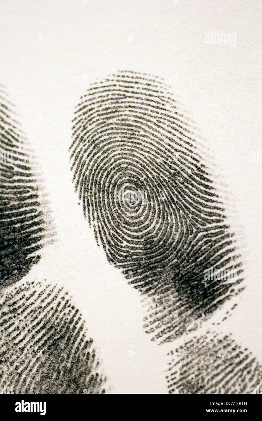 Whorl Fingerprint Gertwet whorl-fingerprint-gertwet