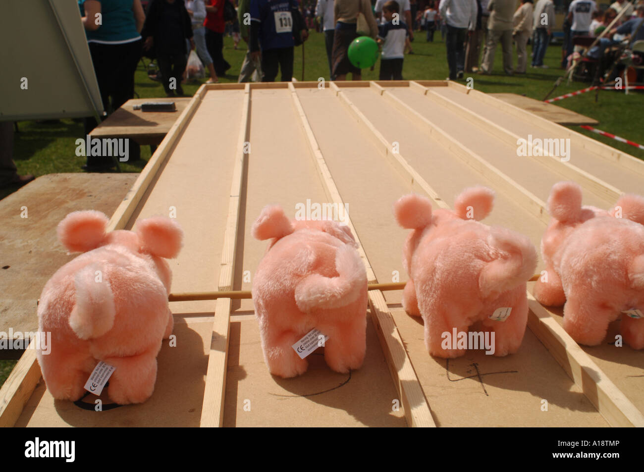 A stall at a fair in Haddington East Lothian with piggy racing Stock ...
