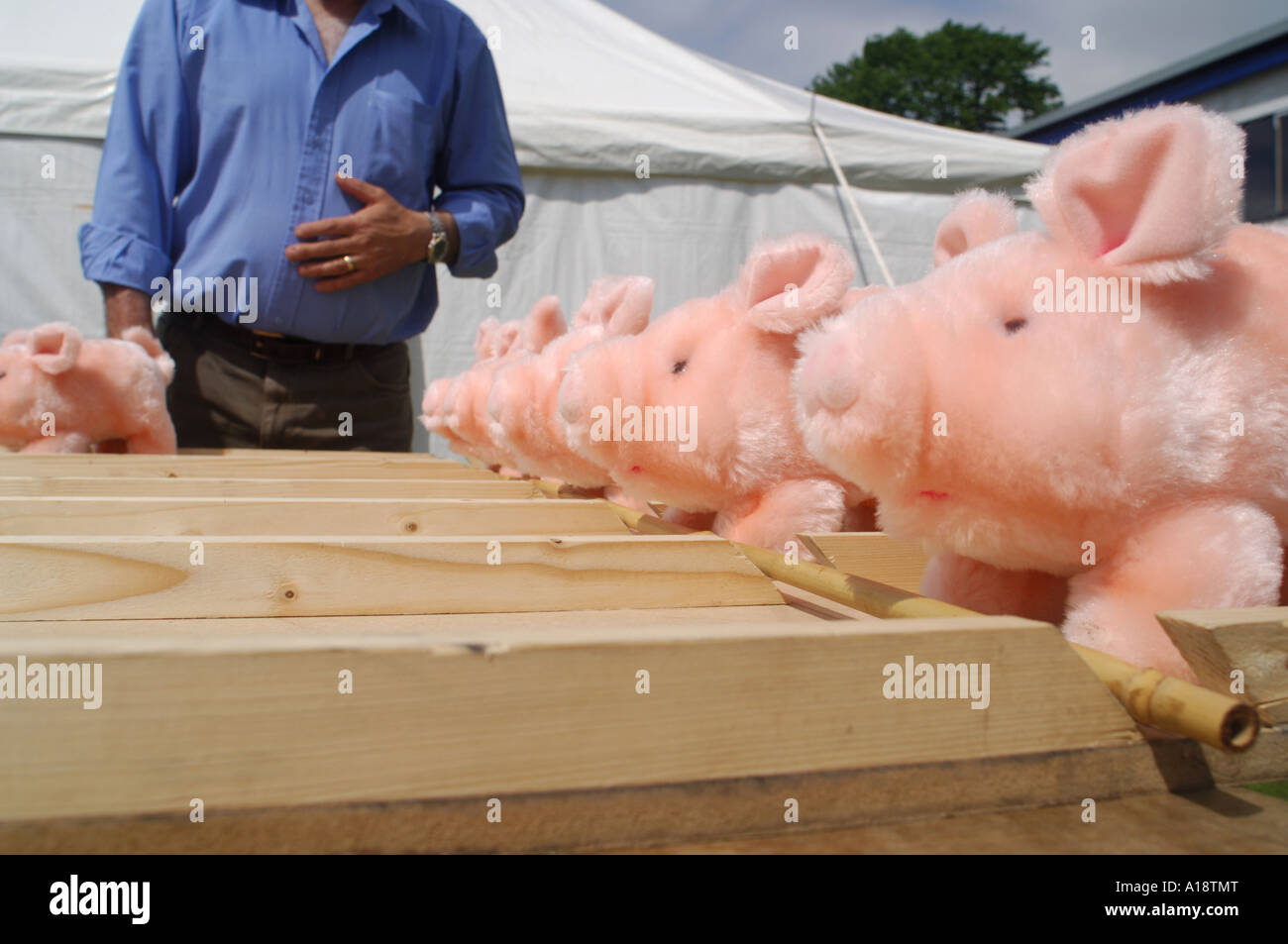 A stall at a fair in Haddington East Lothian with piggy racing Stock ...