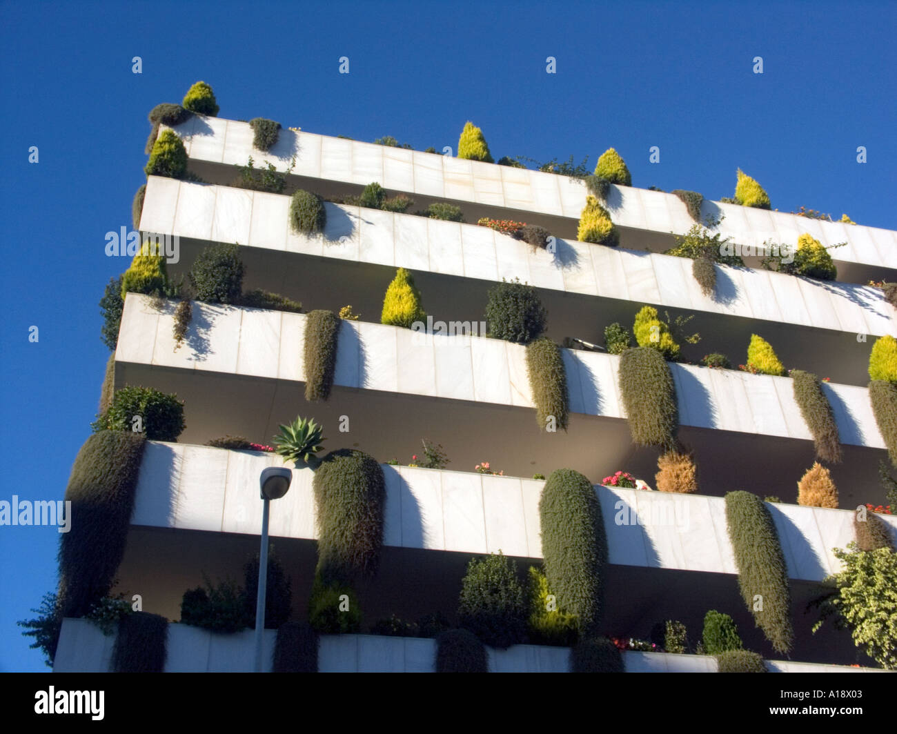 Dwarf Conifer Trees on apartment block, Costa del Sol, Spain Stock ...