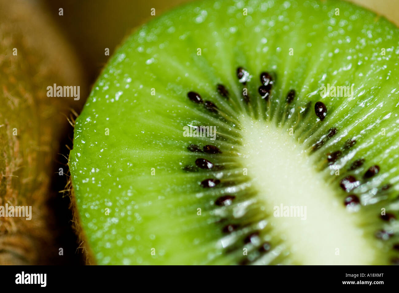 Close up of sliced kiwi fruit Segments actinidia chinensis Stock Photo ...