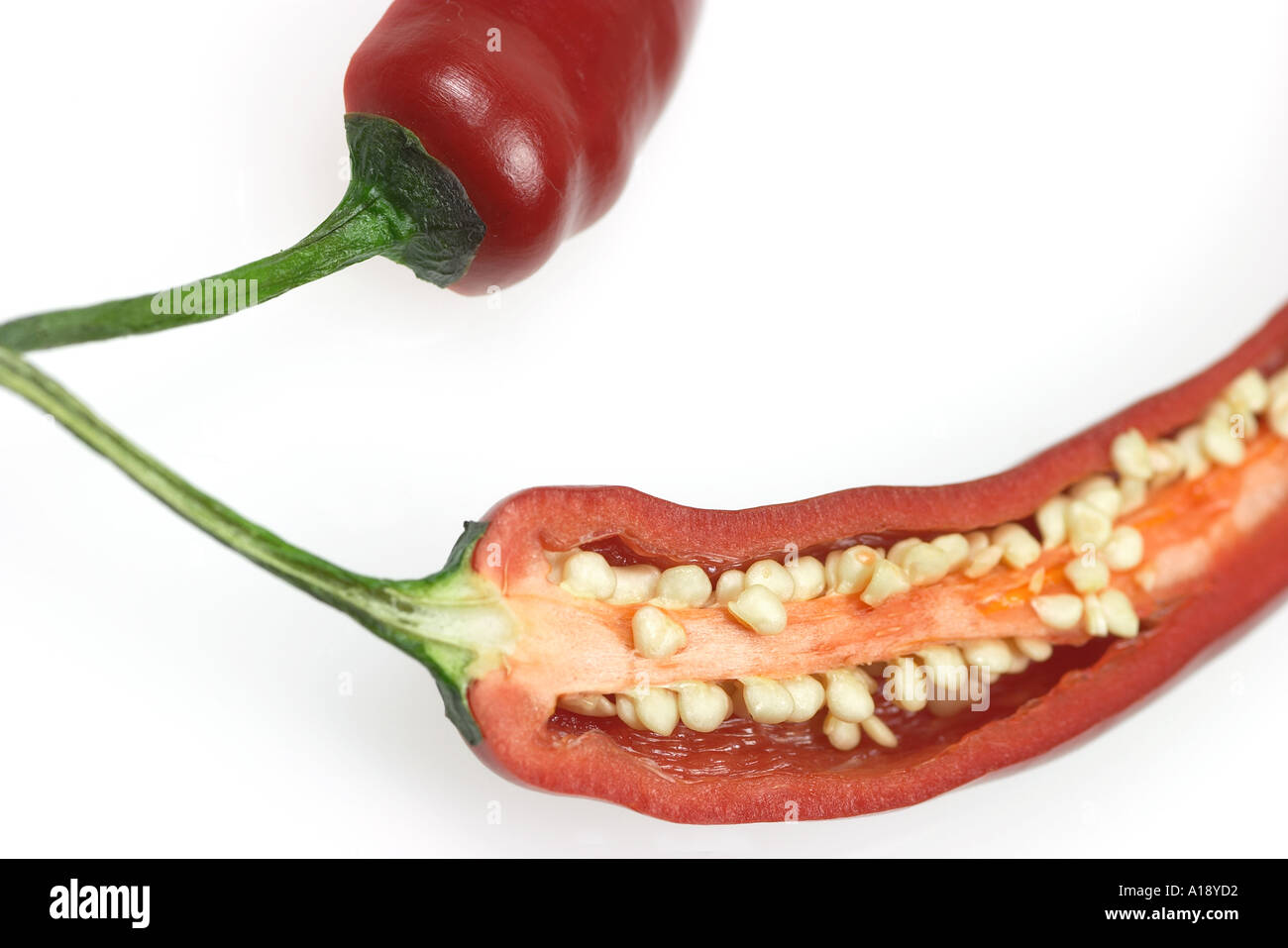 One Red Chilli Pepper Stock Photo - Alamy