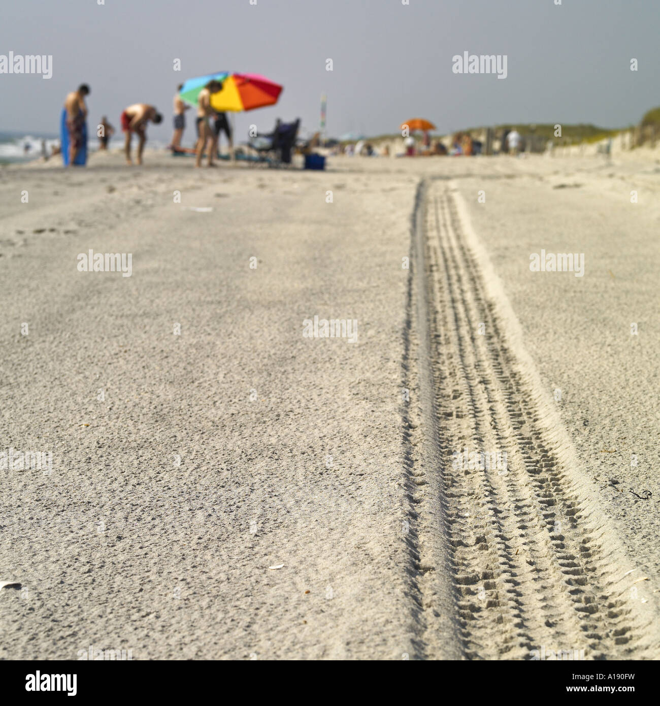 Tire track in the sand Stock Photo - Alamy