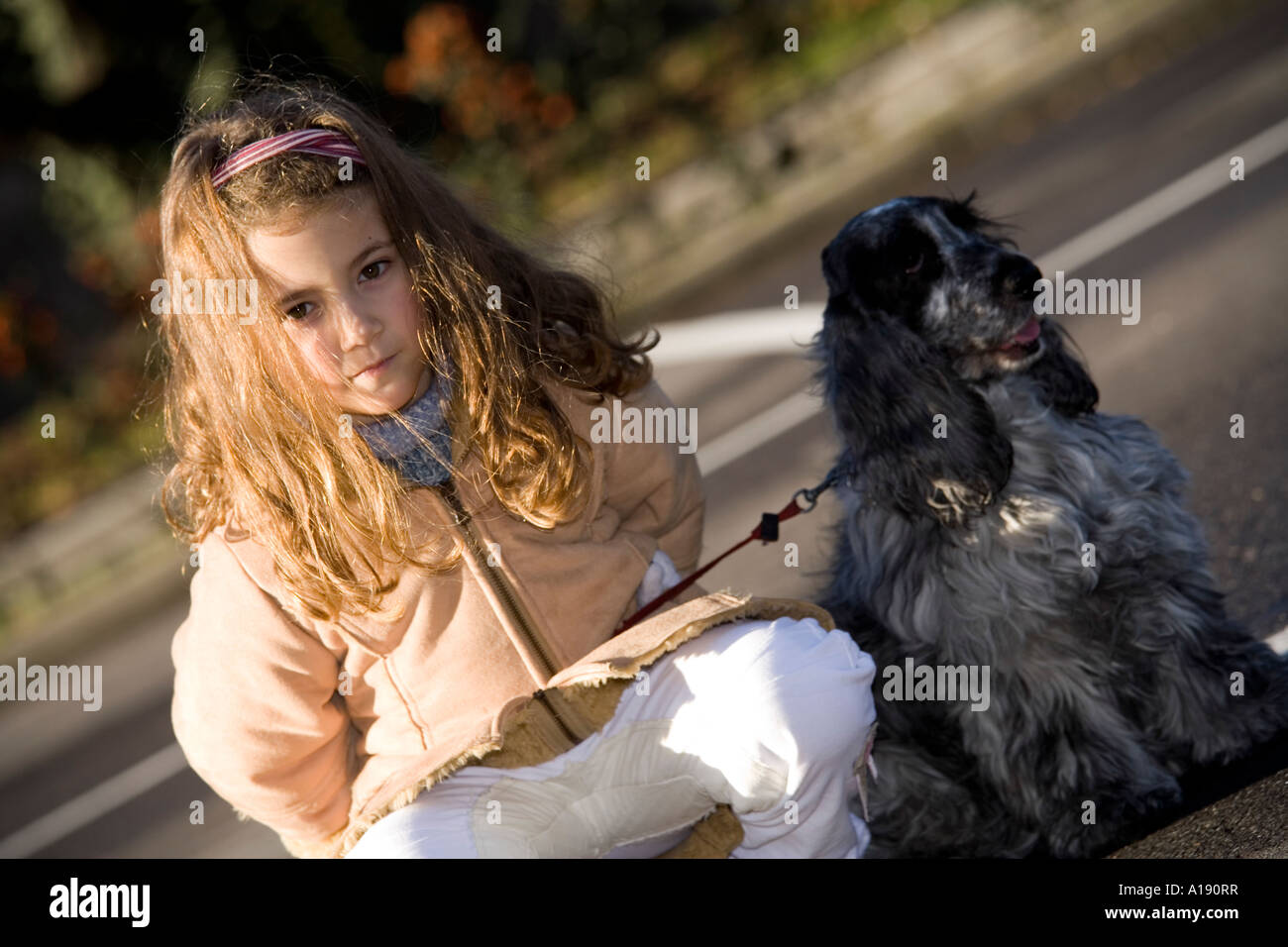 Little girl and her cocker spaniel Stock Photo - Alamy