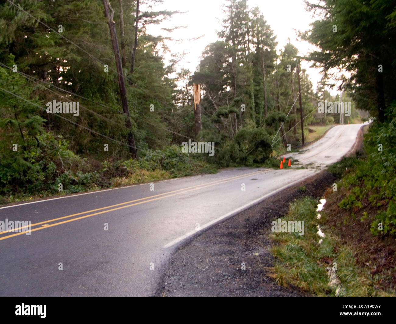 Pavement power lines hi-res stock photography and images - Alamy