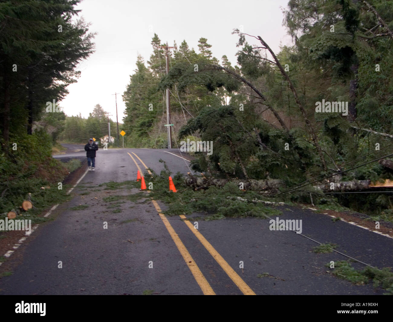 Power lines snapped hi-res stock photography and images - Alamy