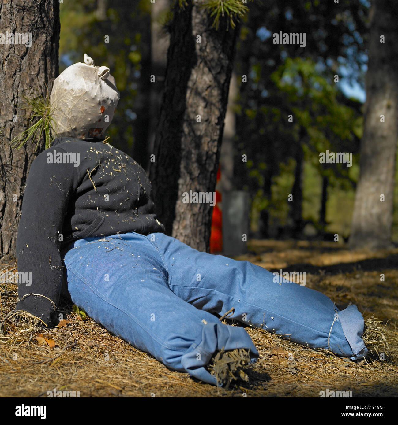 Propped up against tree hi-res stock photography and images - Alamy