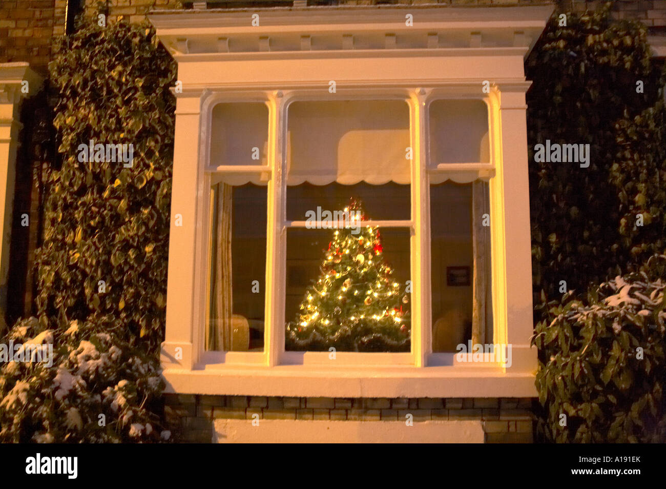 Christmas Tree in Terrace House Window Stock Photo - Alamy