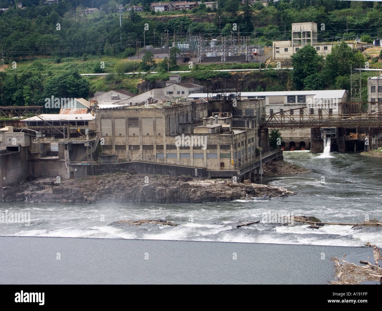 Logging in oregon forests hi-res stock photography and images - Alamy