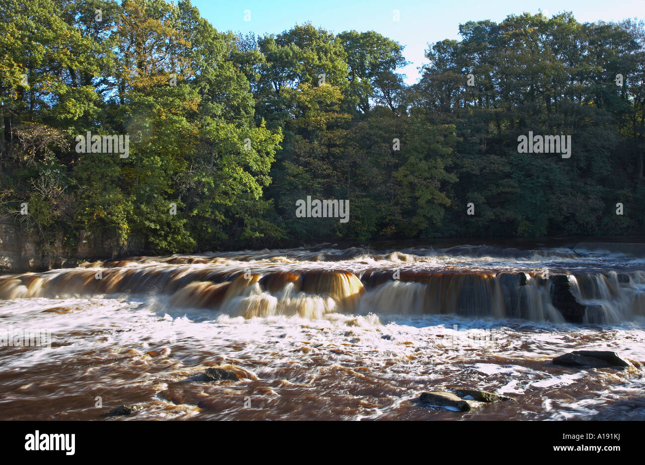 The Falls at Richmond Yorkshire after heavy rain Stock Photo - Alamy