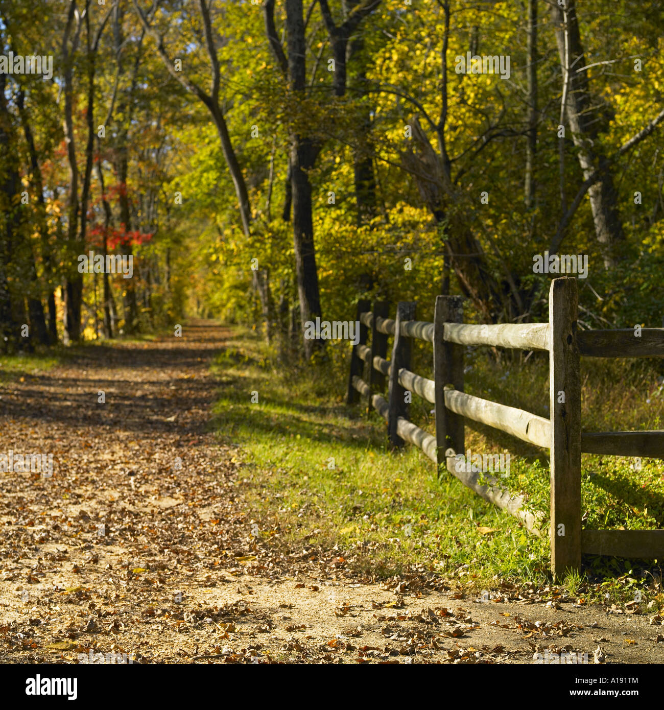 Hidden alley way hi-res stock photography and images - Alamy