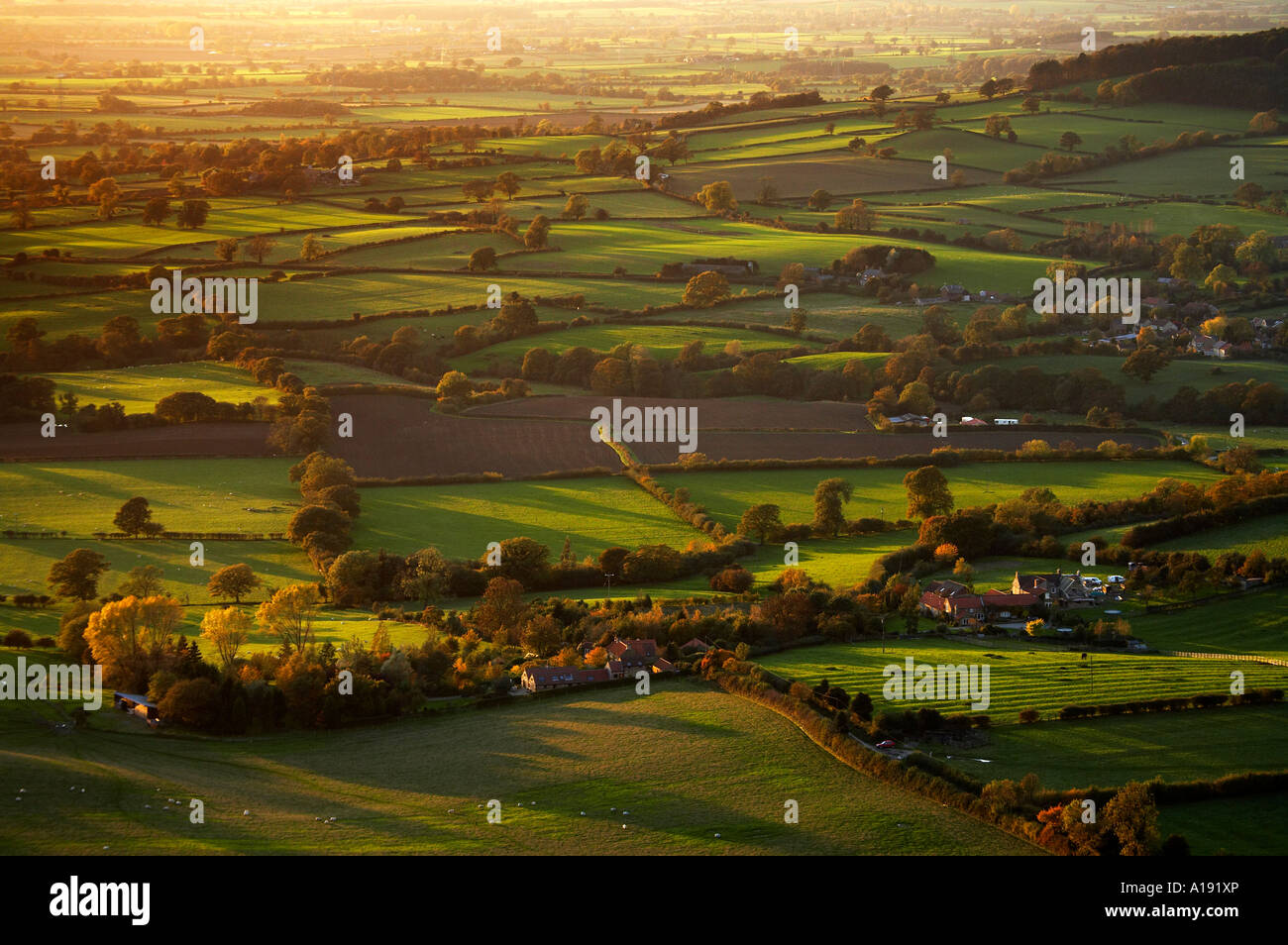 Countryside near Thirsk at sunset North Yorkshire Stock Photo - Alamy
