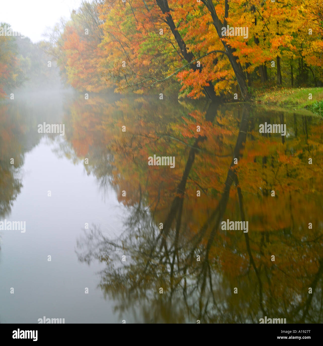 The Delaware and Raritan Canal State Park on a rainy day Stock Photo ...