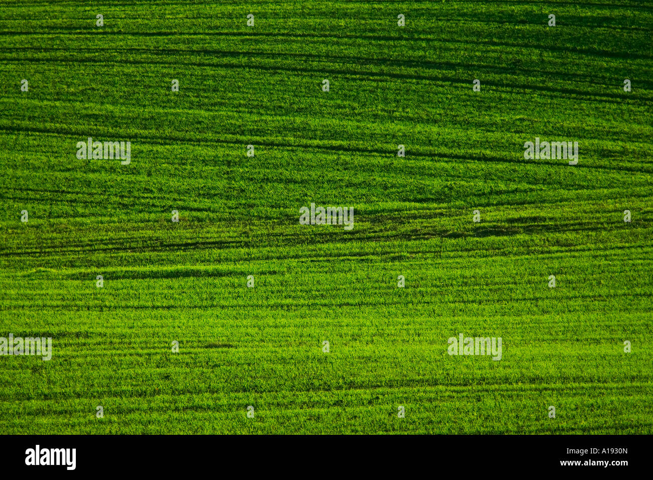 Light on green fields hi-res stock photography and images - Alamy