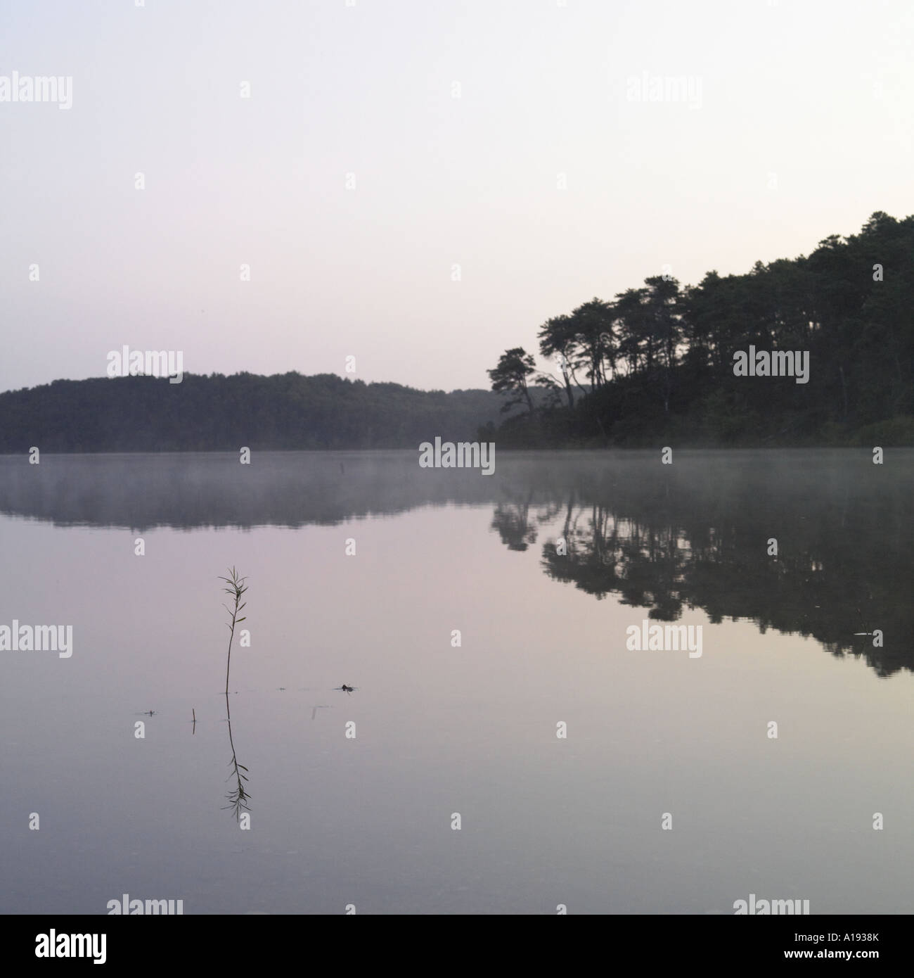 Lake at dawn Stock Photo - Alamy